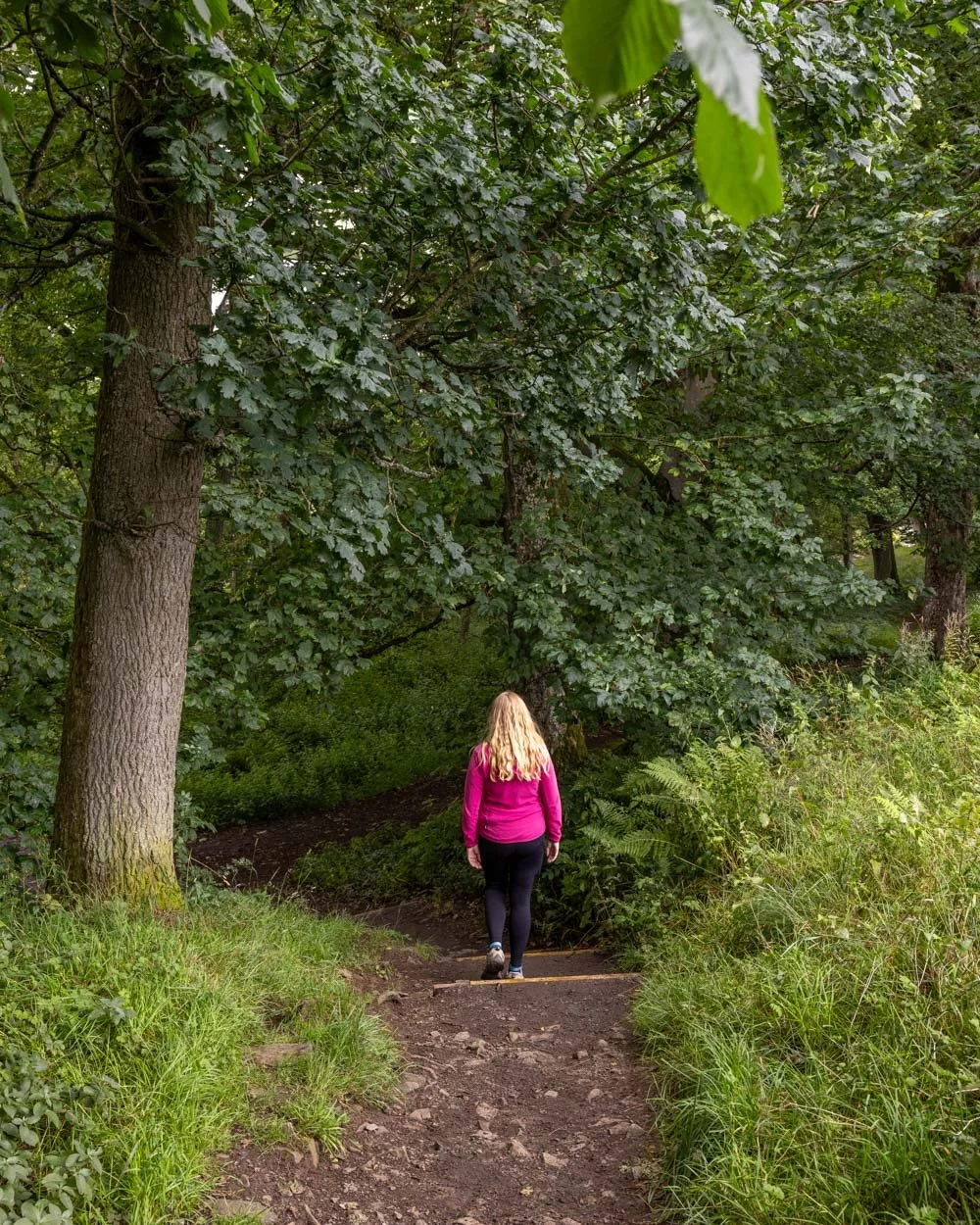 How to visit High Force Waterfall for free — Walk My World