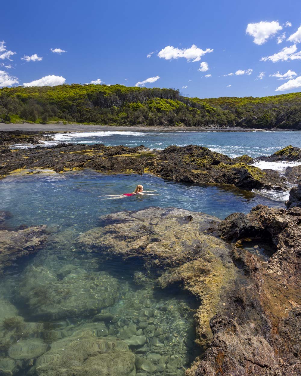 Honeysuckle Rockpools: Murramarang's hidden blue pools — Walk My World