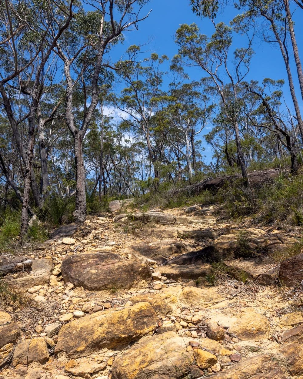 How to find the Southern Highlands Aqua Pool and the secret pools ...