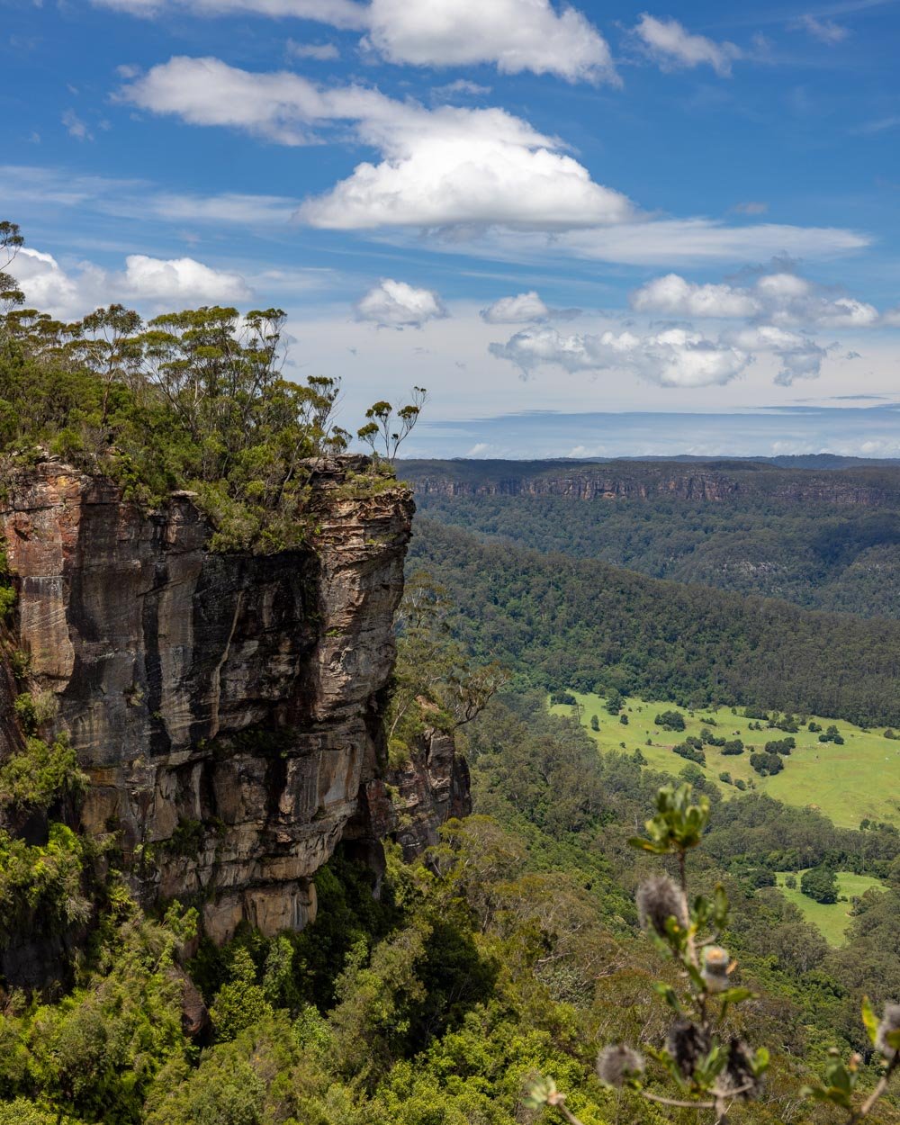The secrets of Mannings Lookout: hidden waterfalls and lost viewpoints ...