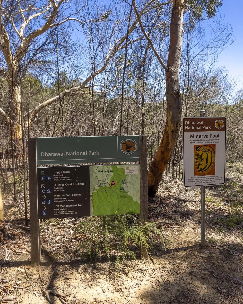 Wild swimming at Minerva Pool: one of Sydney's best waterholes — Walk ...