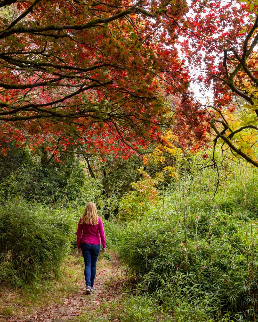 The Giggle Alley Japanese Garden: Eskdale's hidden autumn wonderland ...