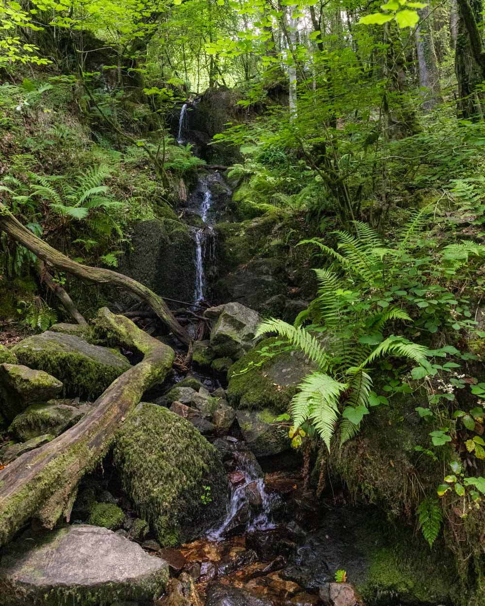 Sharrah Pool: is this the best wild swimming spot in Dartmoor? — Walk ...