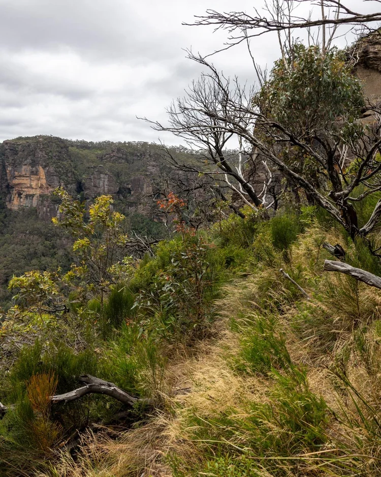 Psyn Cave: Katoomba's secret camping cave — Walk My World