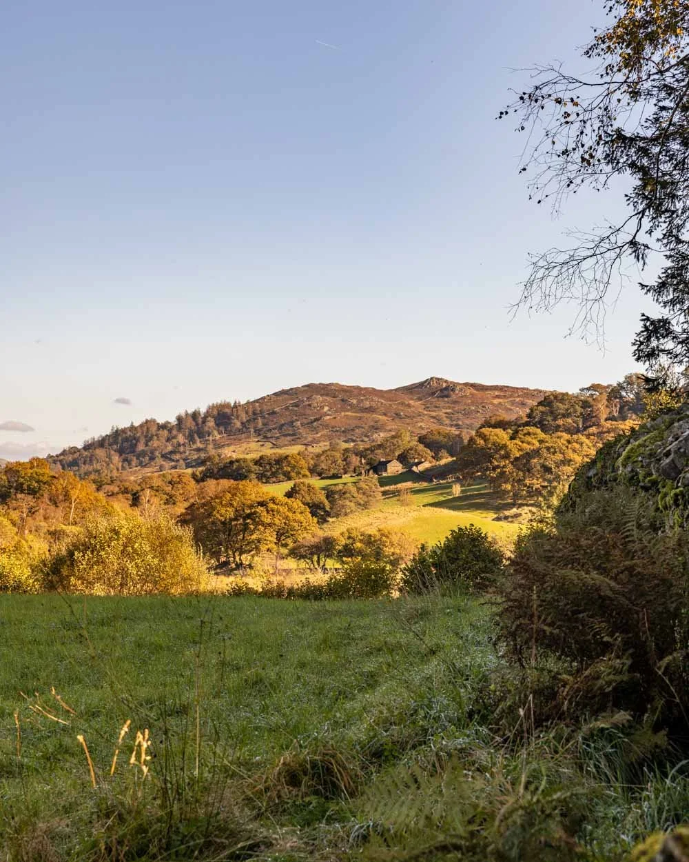 Cathedral Cave: the short route, just a 15 minute walk — Walk My World