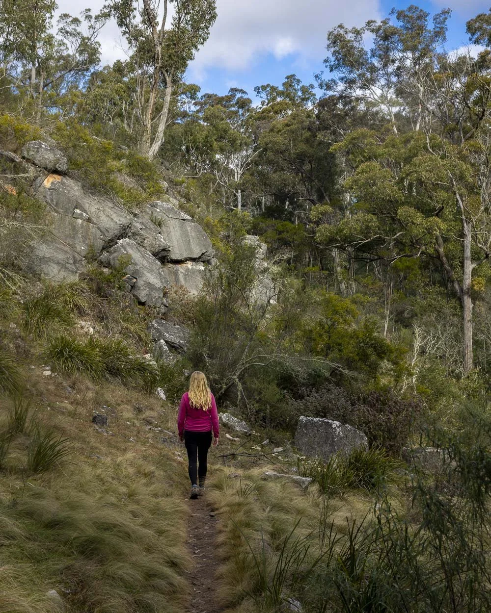 Bungonia Green Track: rustic caves & spectacular views — Walk My World