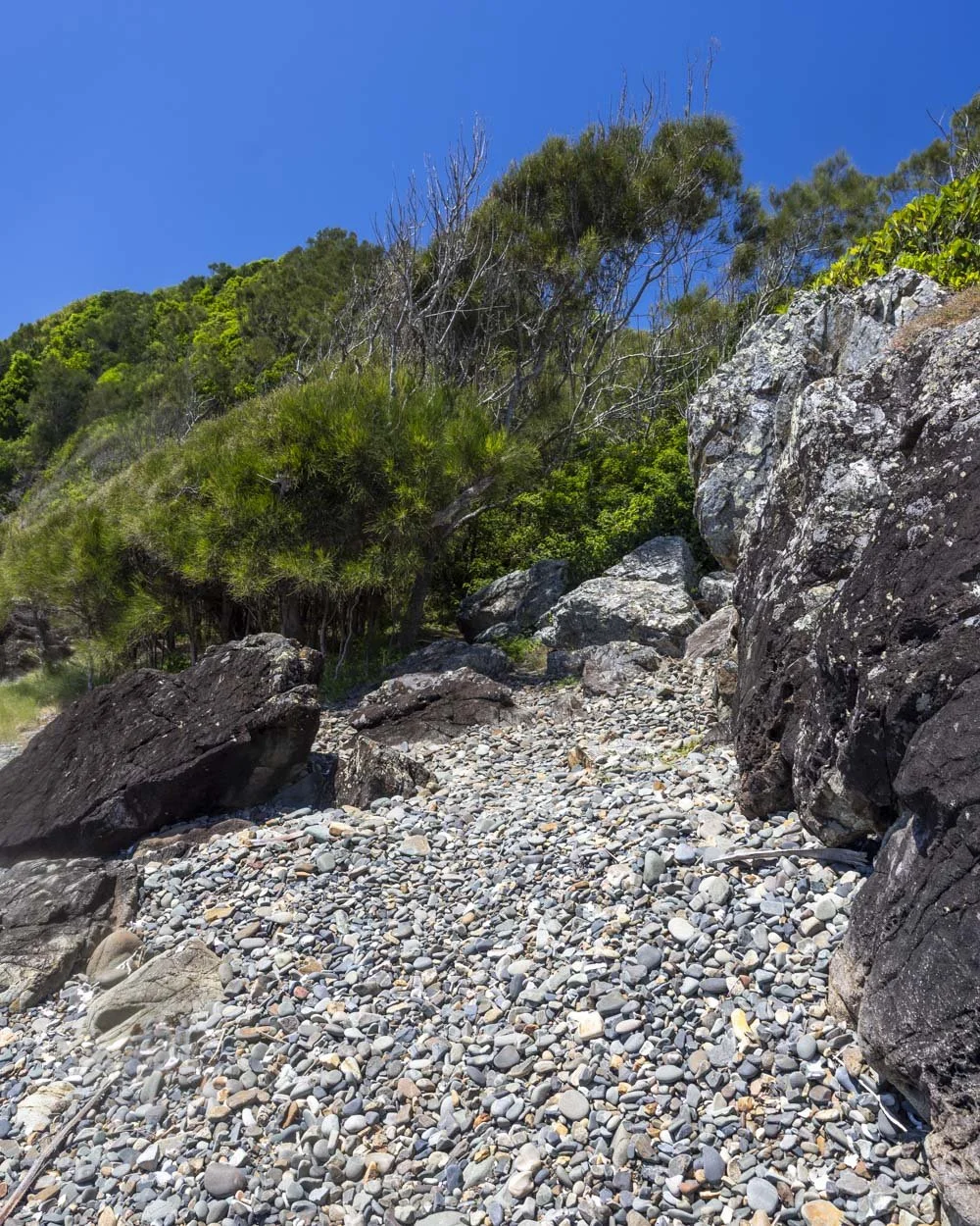 How to find Forster's magical Fairy Pool — Walk My World