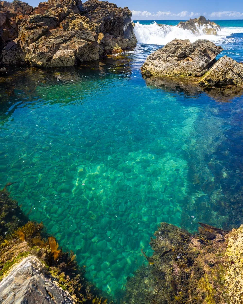 Crystal Pools: hidden rockpool heaven near Forster — Walk My World