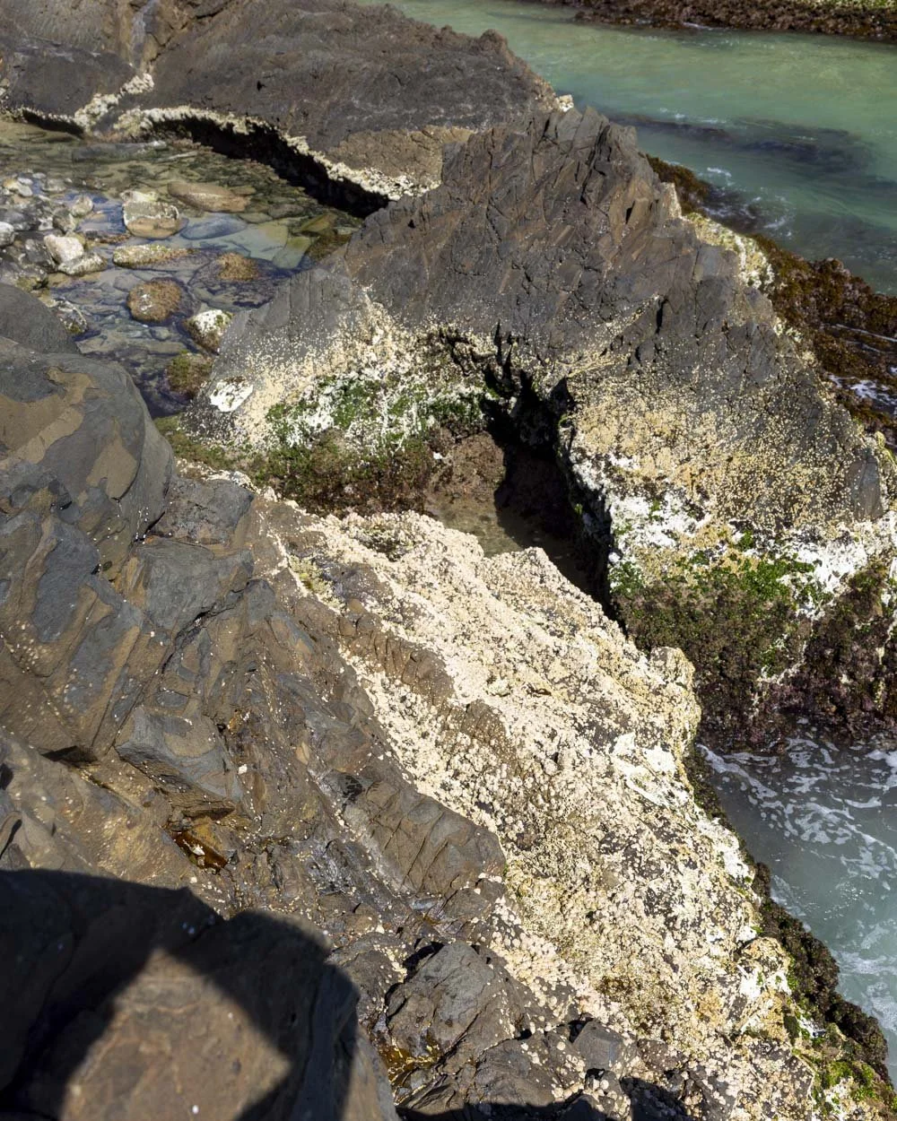 The Crescent Rockpool: is this the best secret swim spot in Crescent ...