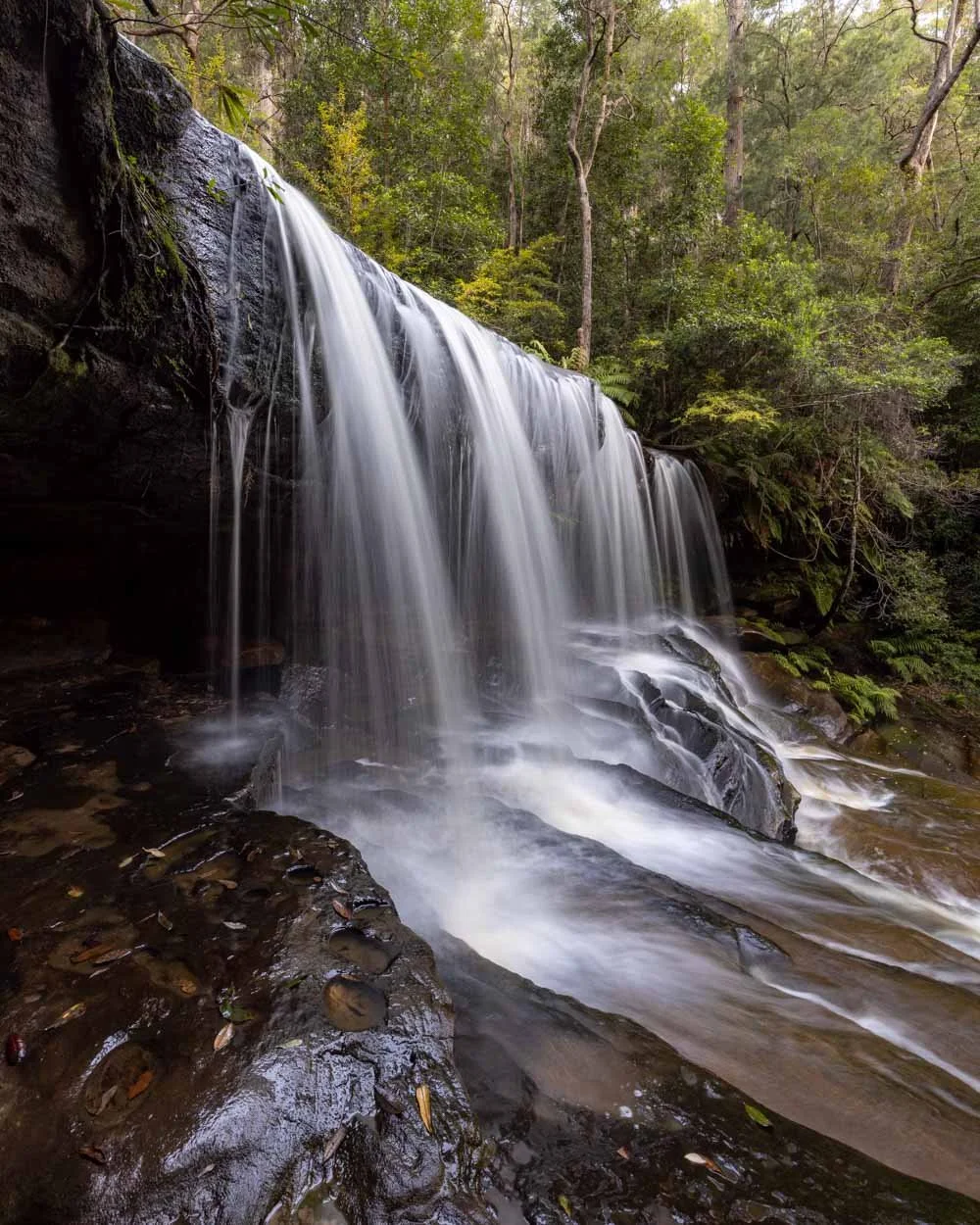 Insider tips to get the most from visiting Somersby Falls — Walk My World