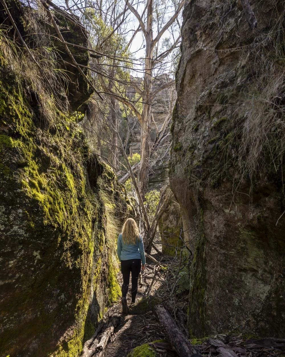 Dry Canyon - a stunning, easy slot canyon in the Blue Mountains — Walk ...