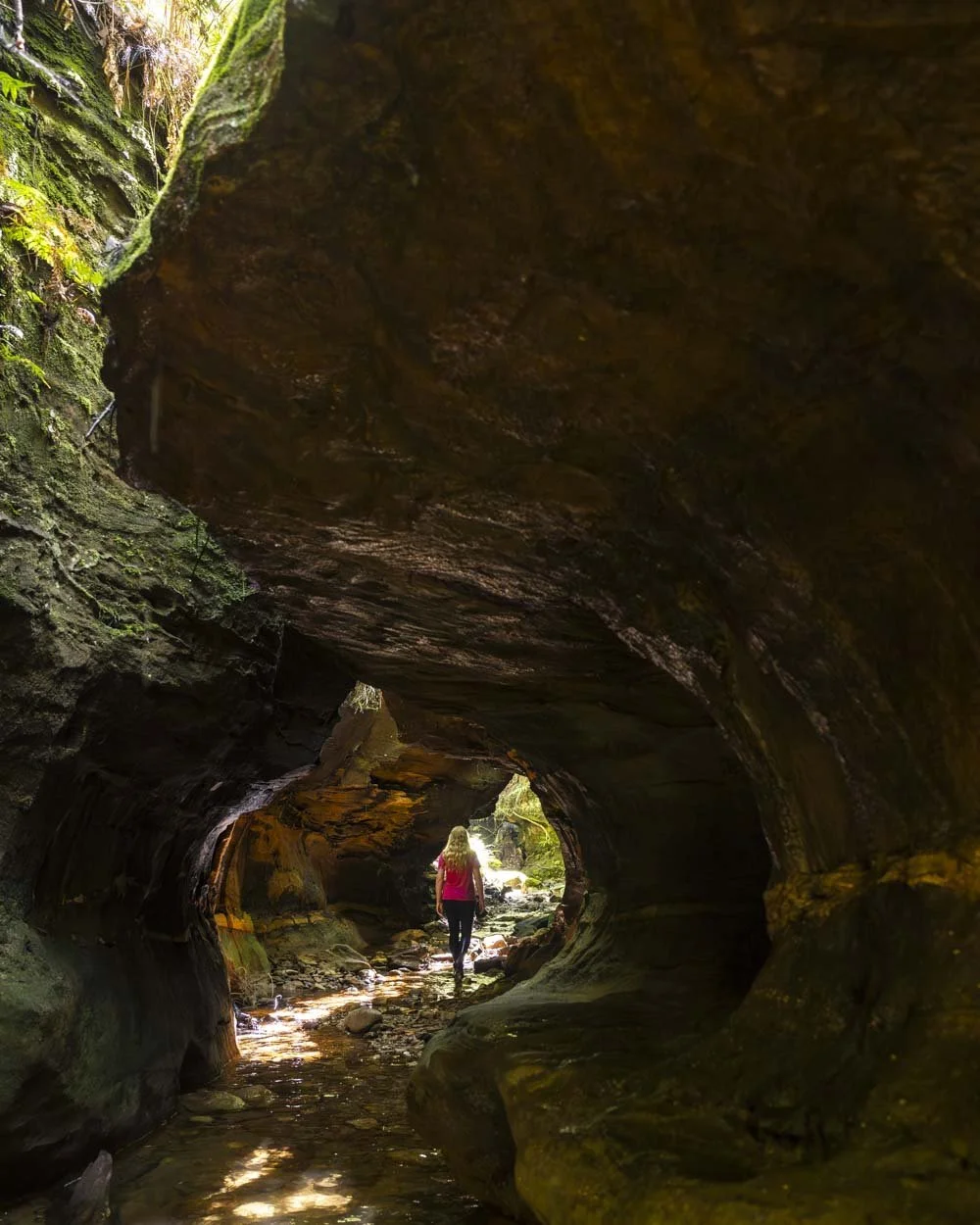 19 Truly Incredible Blue Mountains Wild Swimming Holes — Walk My World