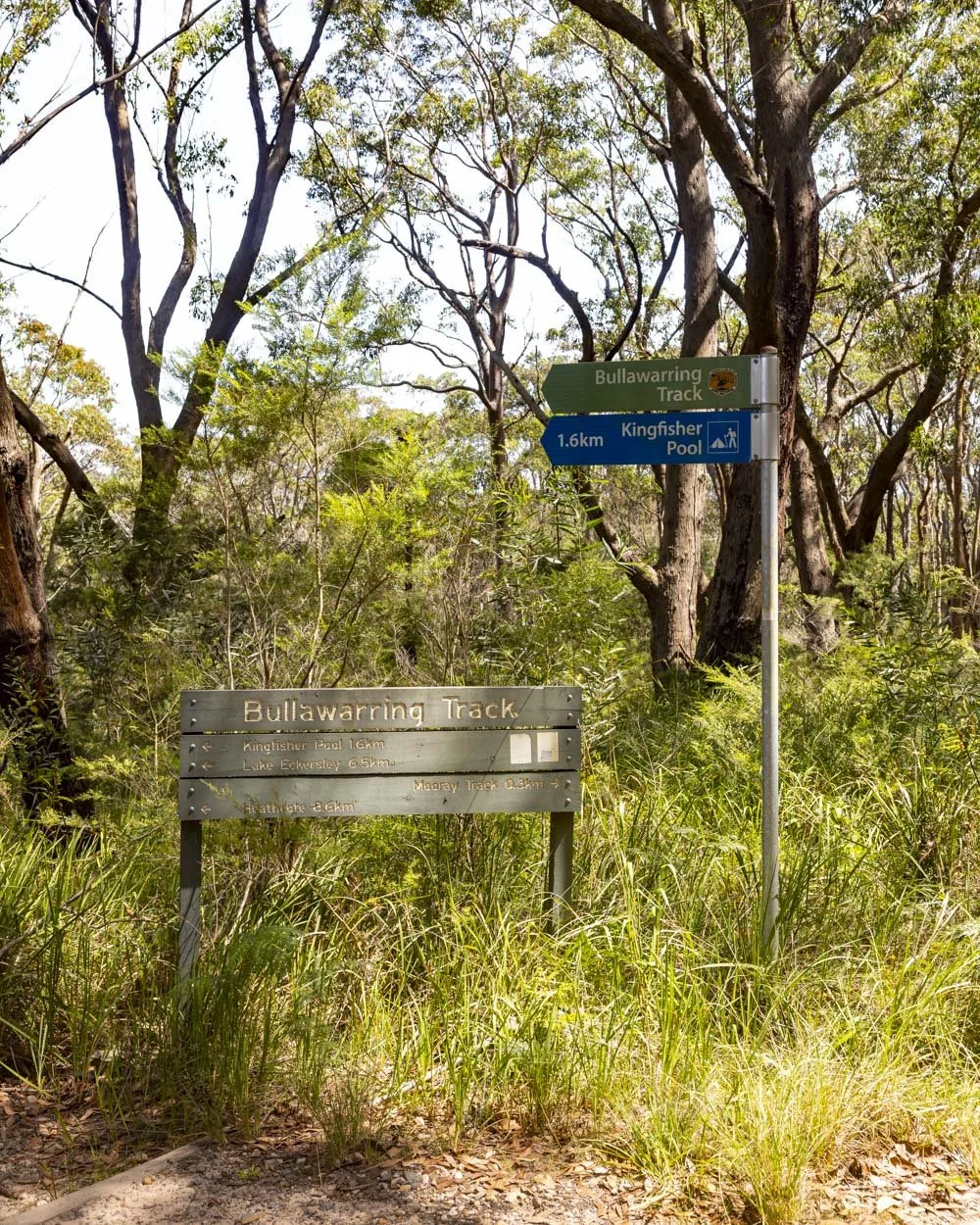 Kingfisher Pool: a pretty swimming hole in Heathcote National Park ...