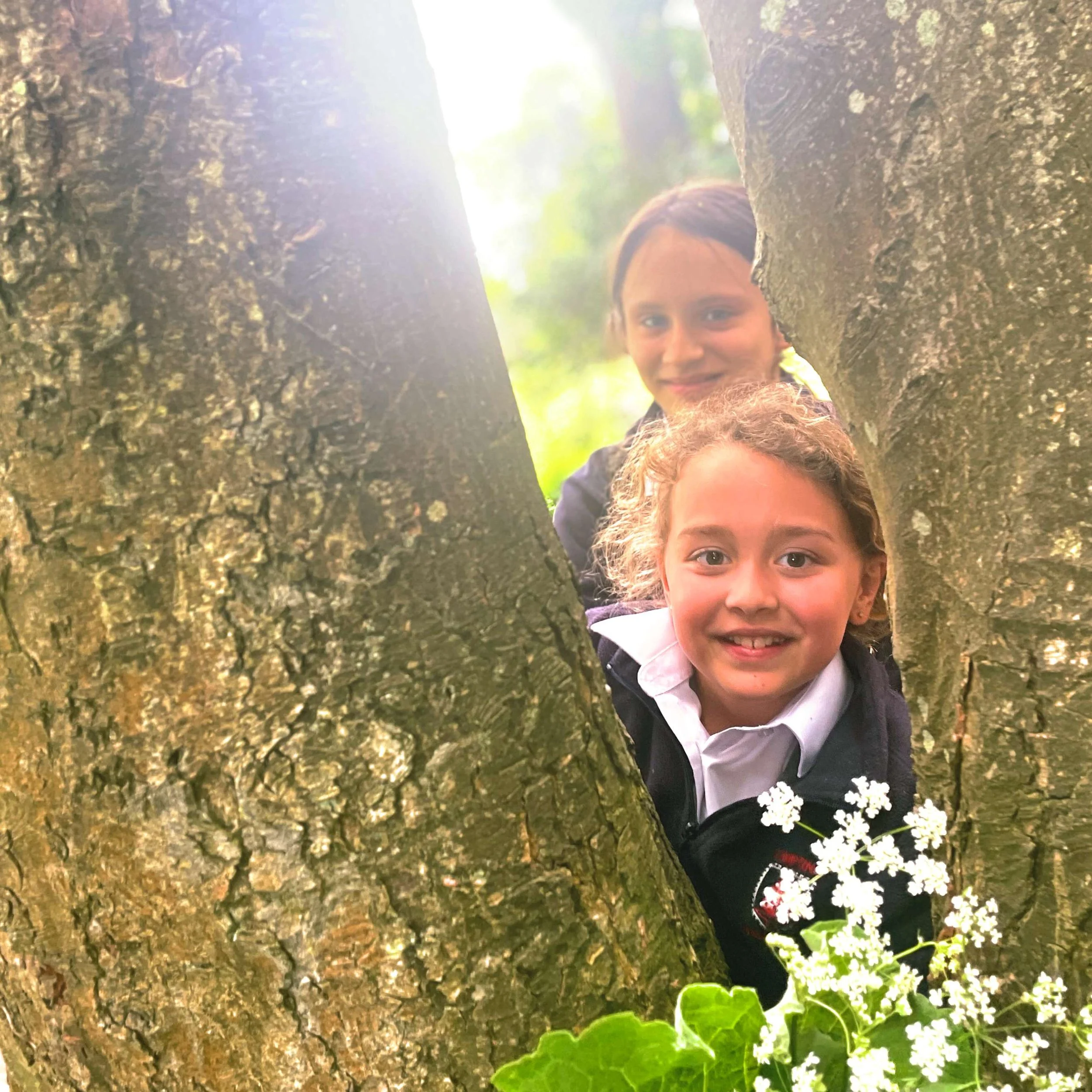 Our Environmental Ethos: Outdoor Classrooms and Woodland Coronations ...