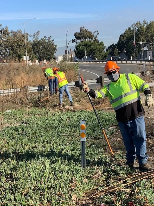 Transitional Employment — Five Keys