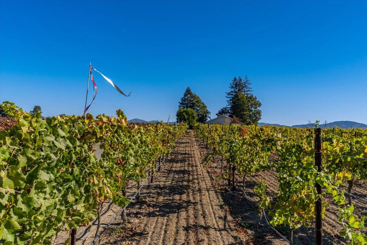 Hillary Ryan Group — Napa County Real Estate