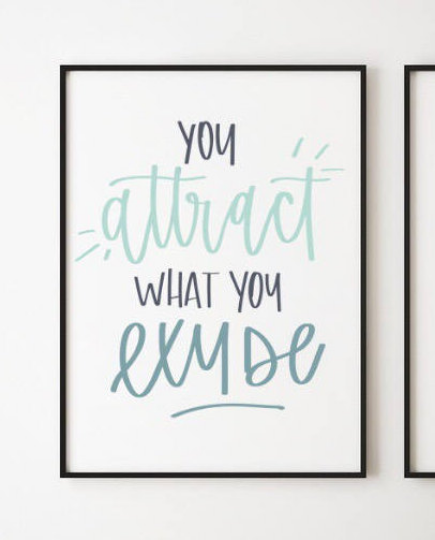 Pelvic Anatomy Poster — Park Ave Prints