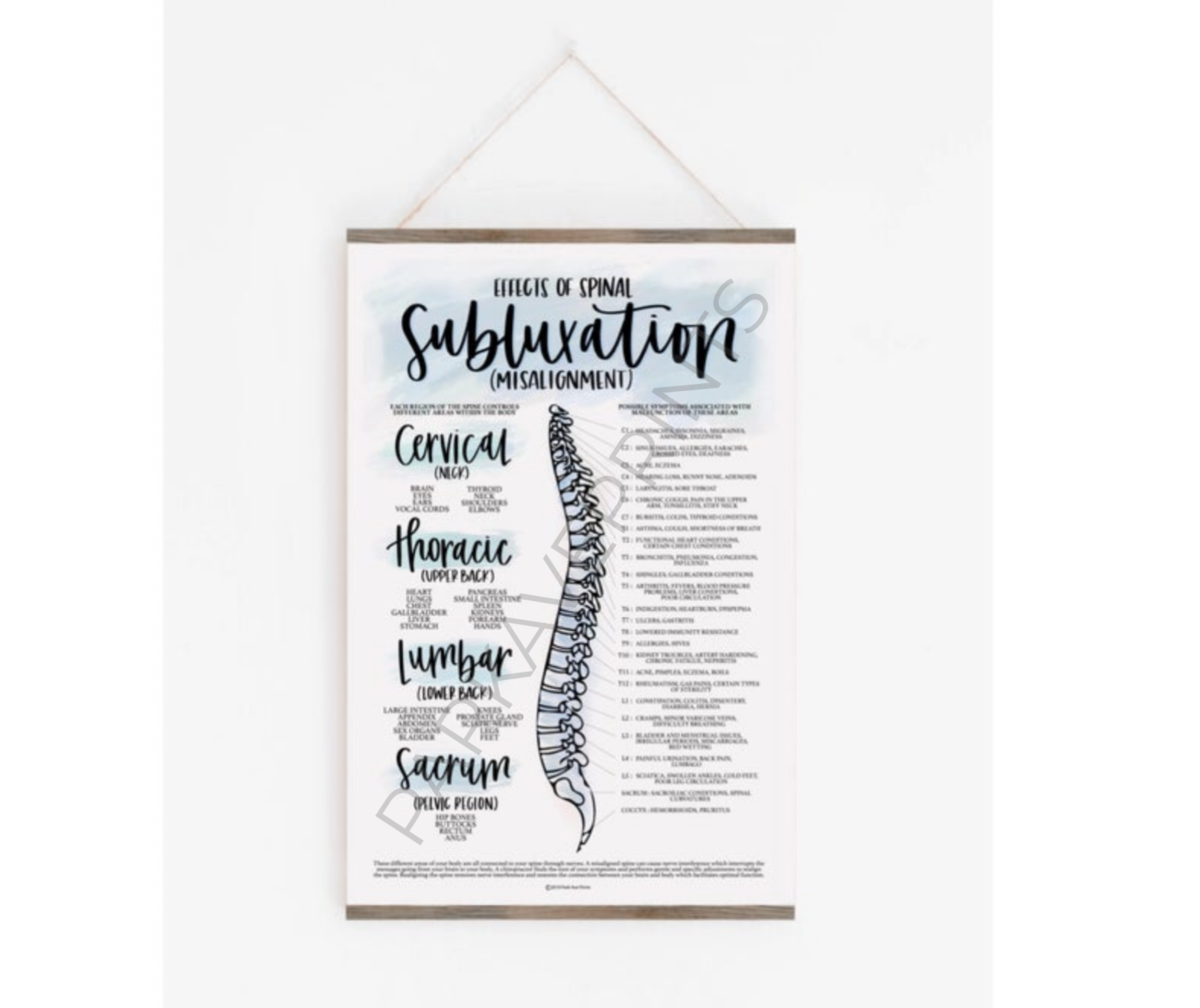 New!Subluxation + Nervous System Poster — Park Ave Prints
