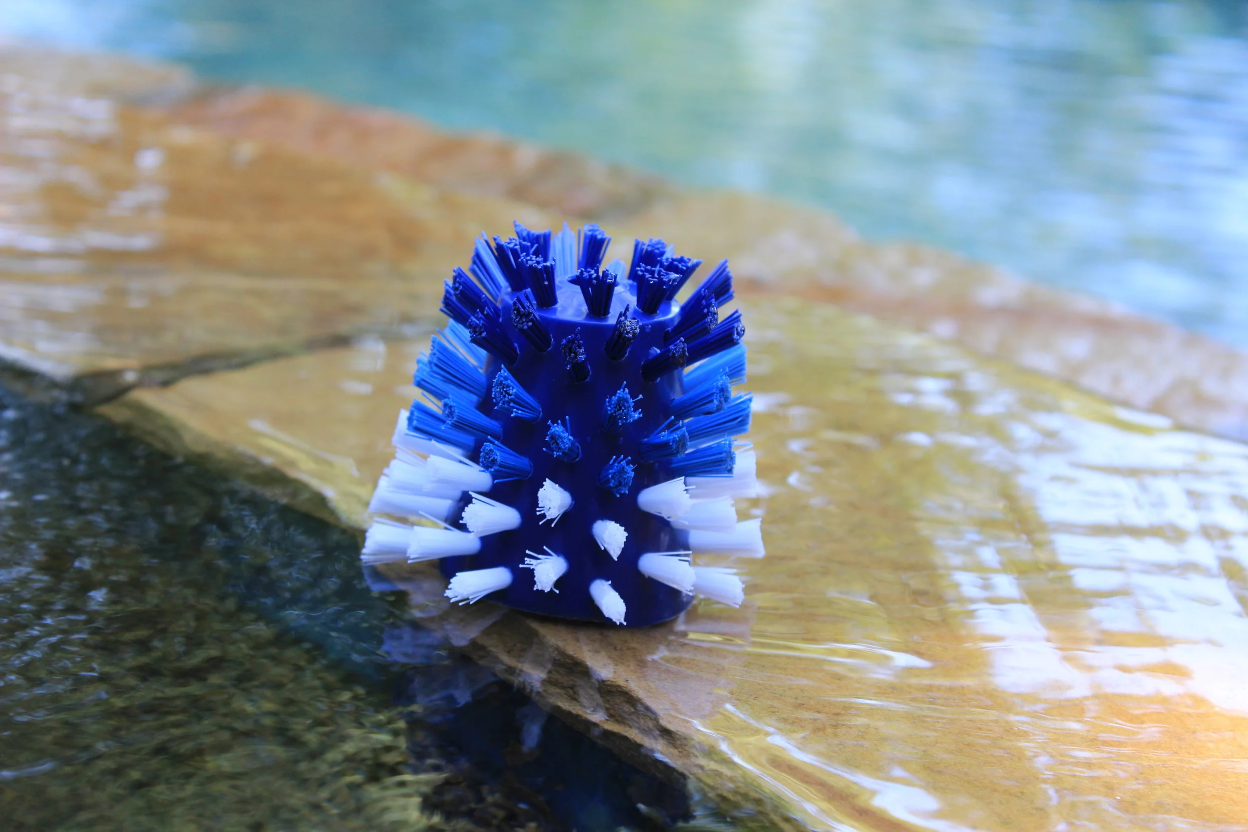 Shop — Pool 'n Brush