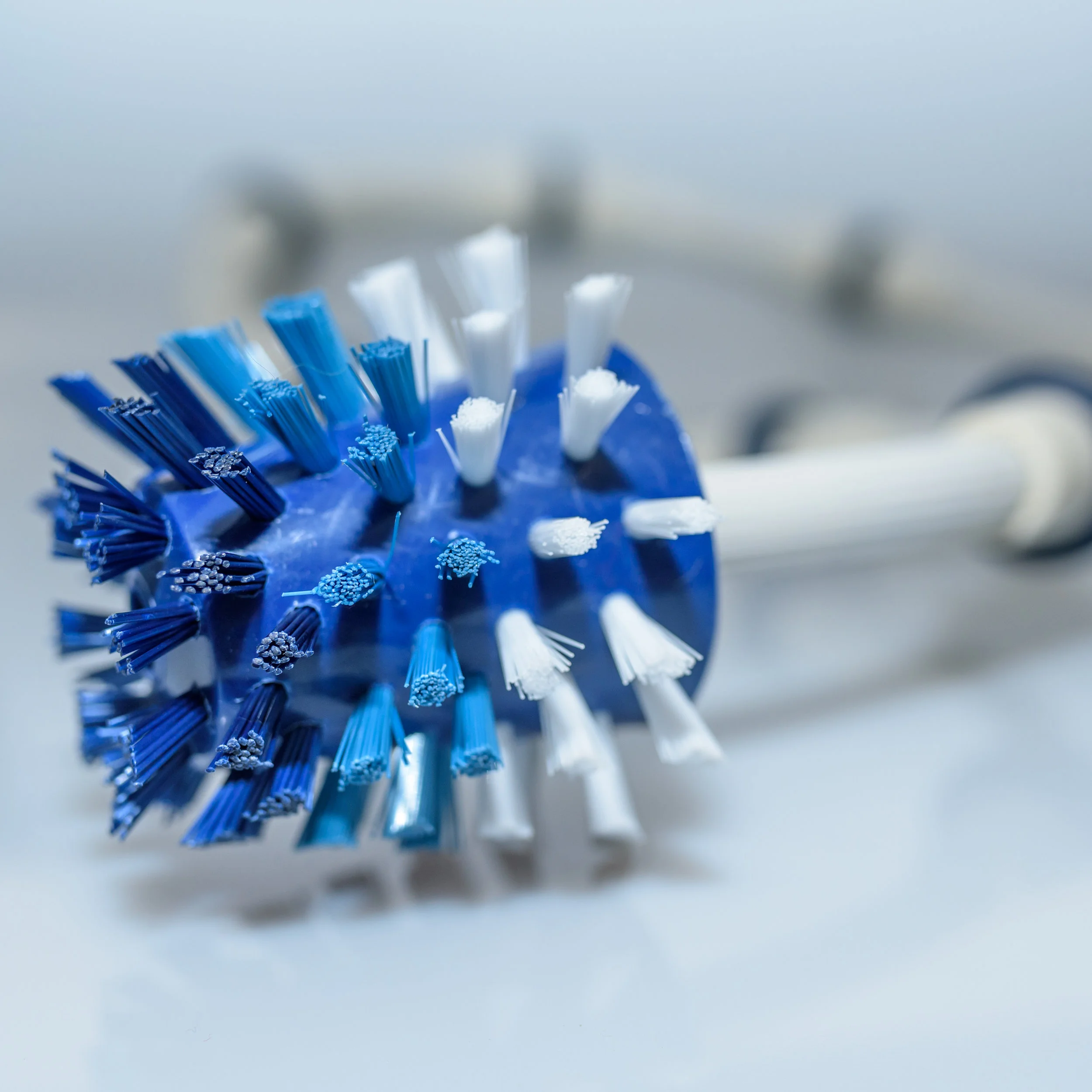 Pool 'n Brush — Pool 'n Brush