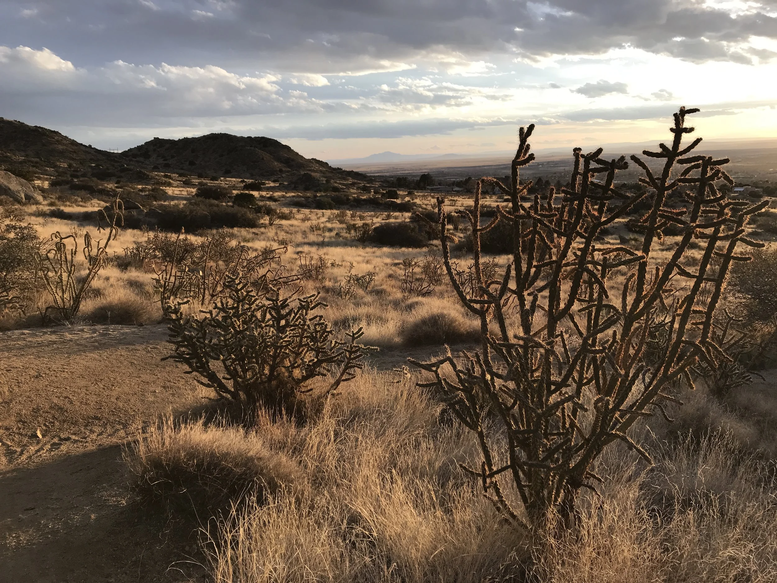 Hiking In Albuquerque | 5 Amazing Hikes