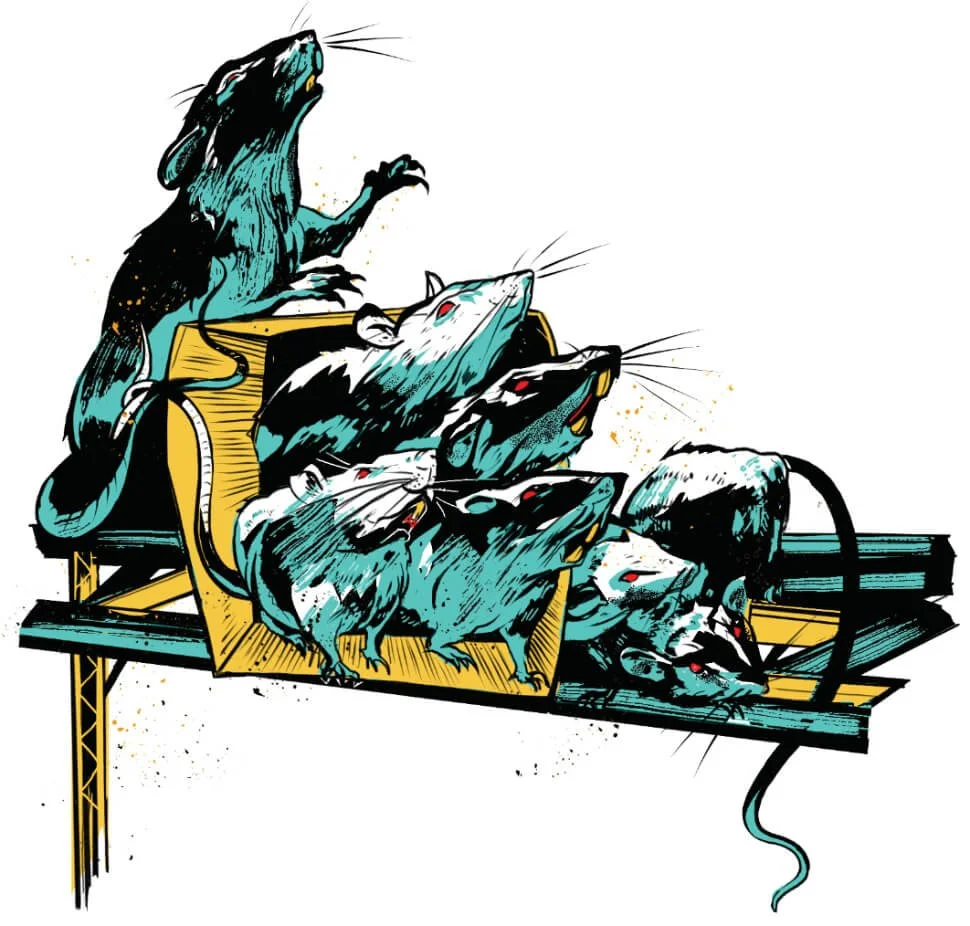 Inside the Ratpocalypse — West End Phoenix