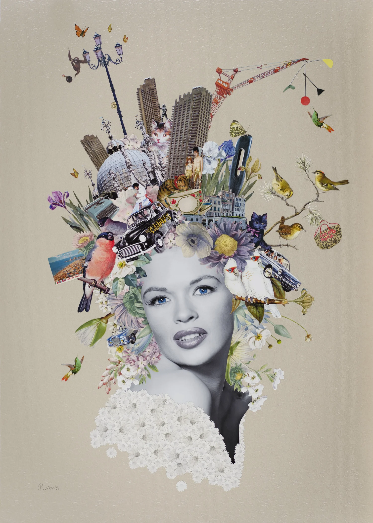 Commissions — Maria Rivans
