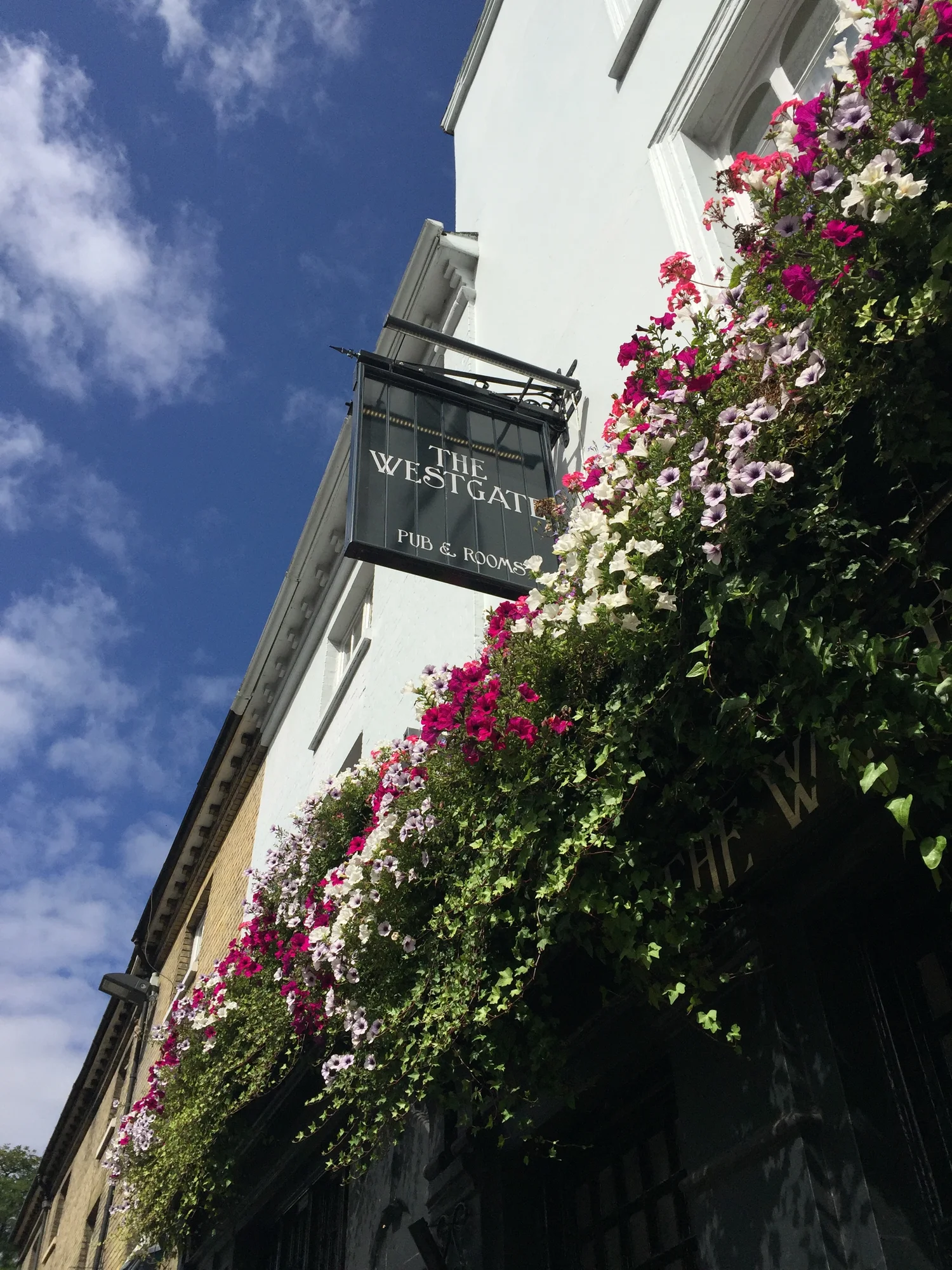 8 Great Winchester Pubs — Winchester Bloggers