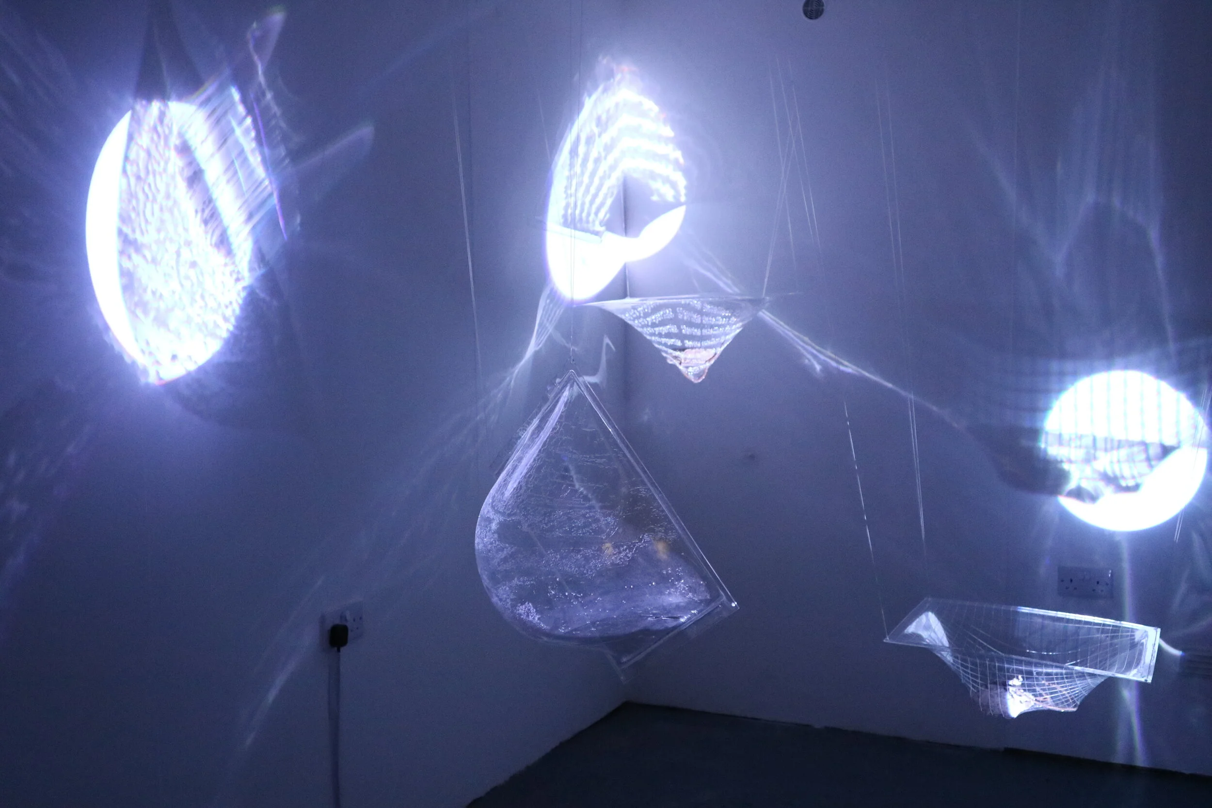 Interview with Studio Winner Babs Smith — Paradise Works