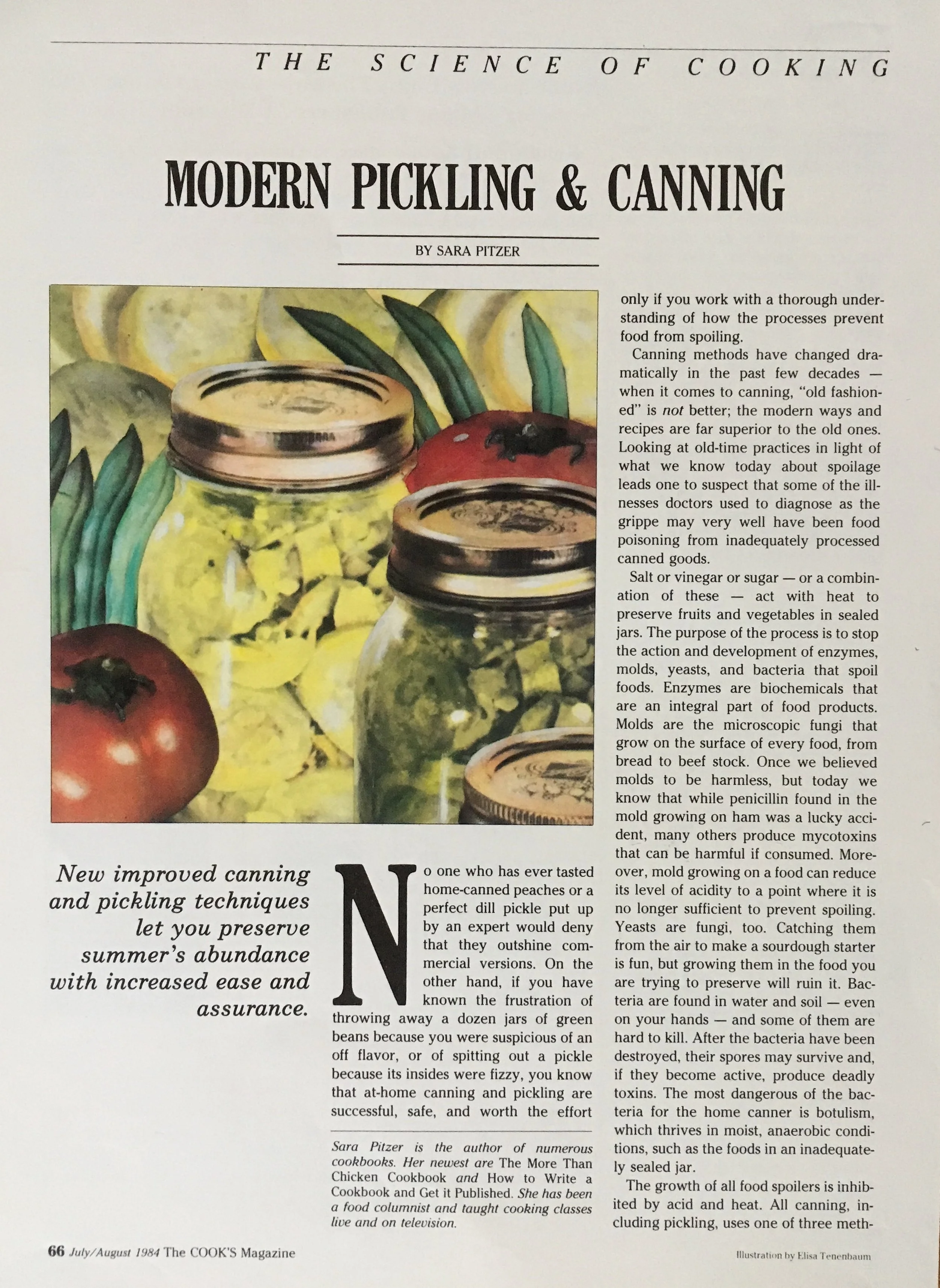 Archived Illustrations, Editorial Images — Elisa Tenenbaum