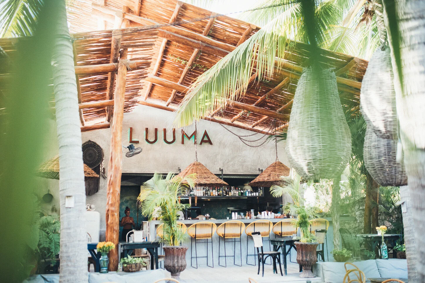 Luuma Gathering Bar — Hotel Casa Las Tortugas®