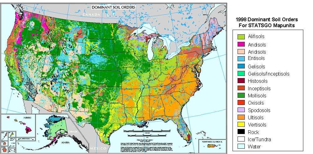 Grow — Plants Go Global