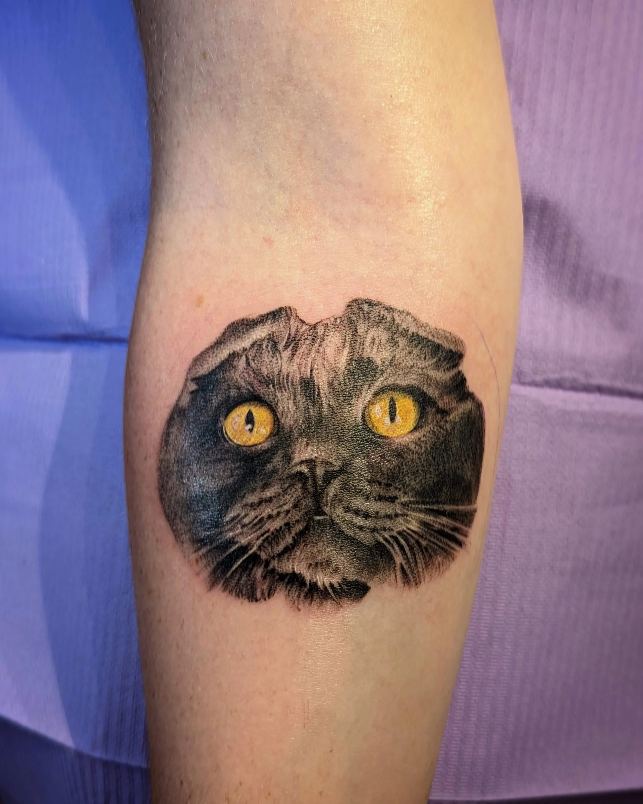 Calico Queen, Crested Butte Tattoo Shop - Tattoo walk-ins, custom ...