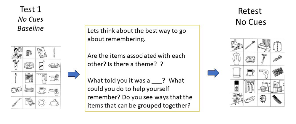 Contextual Memory Test (CMT) — Multicontext