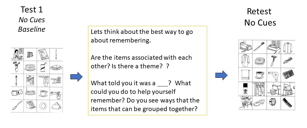 Contextual Memory Test (CMT) — Multicontext