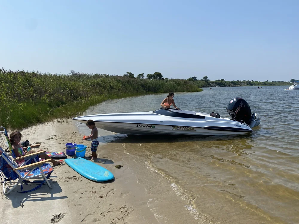 Allison Grand Sport with Mercury 150 Pro XS: The Incredible Sport Boat ...