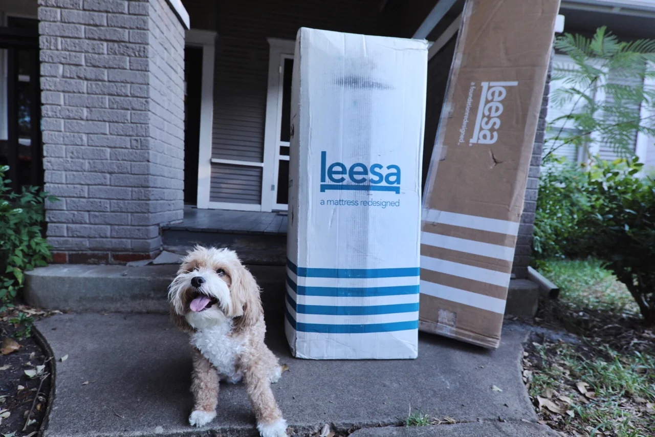 I Got a Leesa Mattress And I'm Never Getting Out of Bed Again — emmasthing
