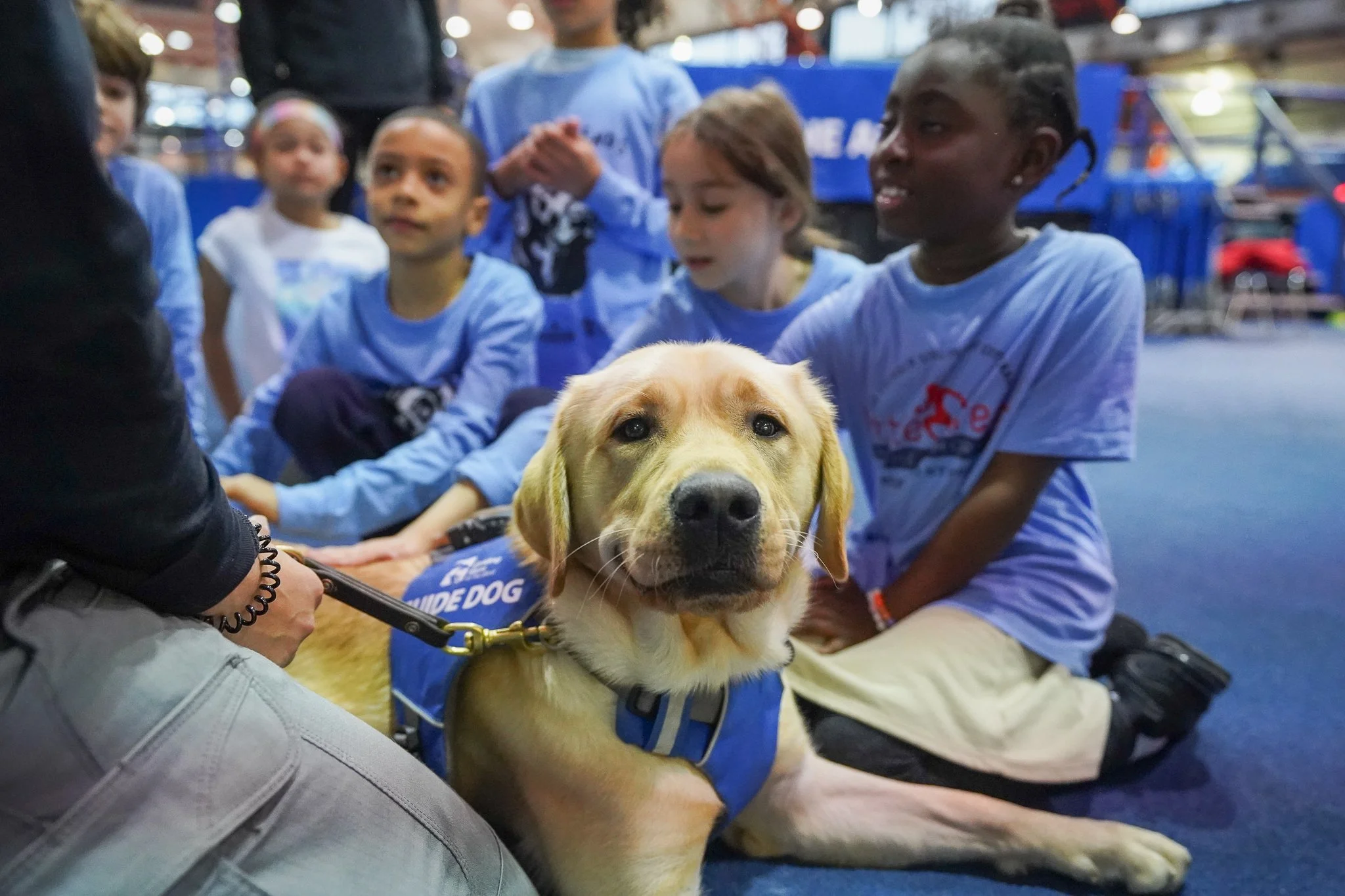 Visitor Help — The Armory Foundation