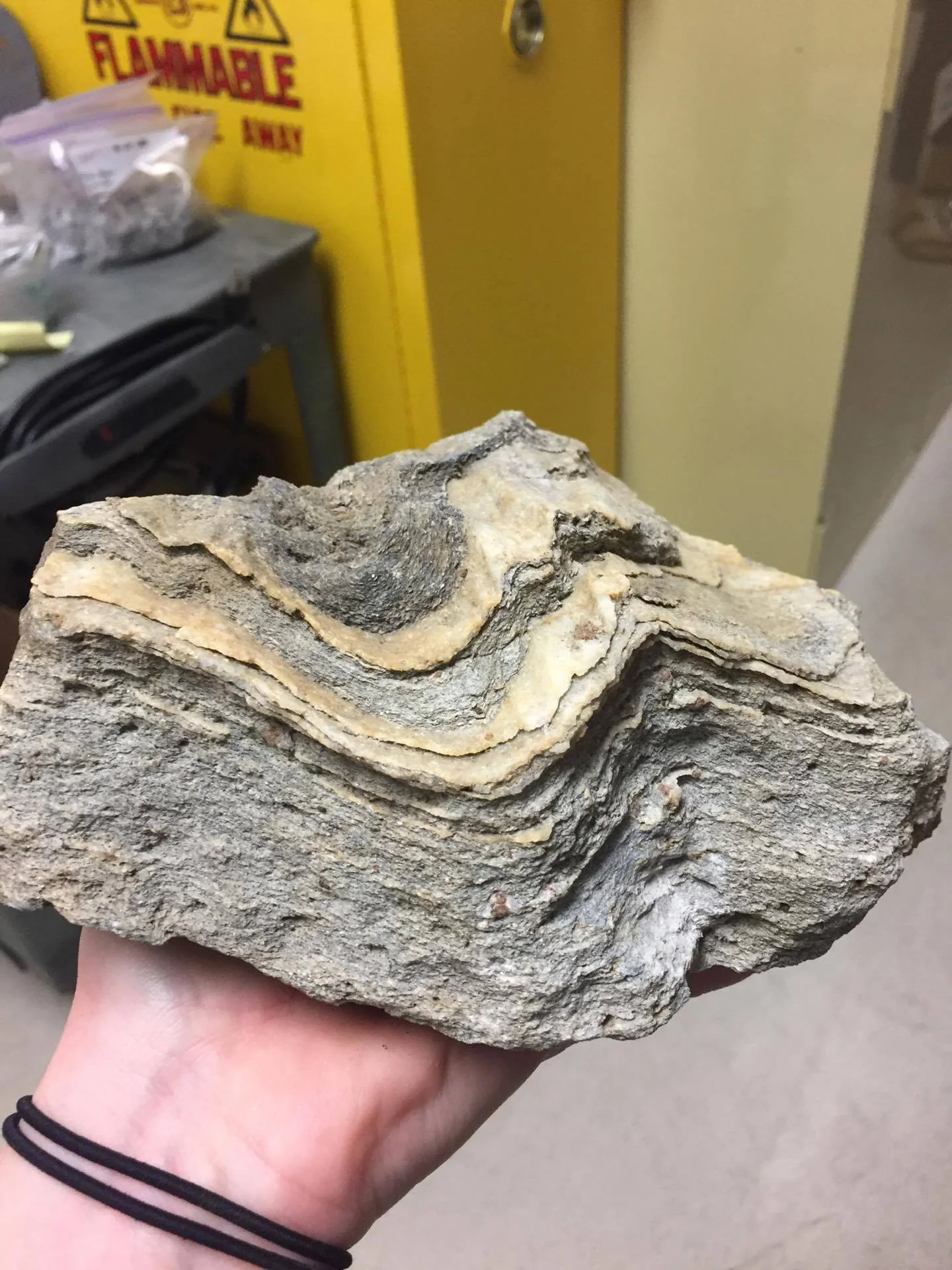 Research — Emily E. Mixon