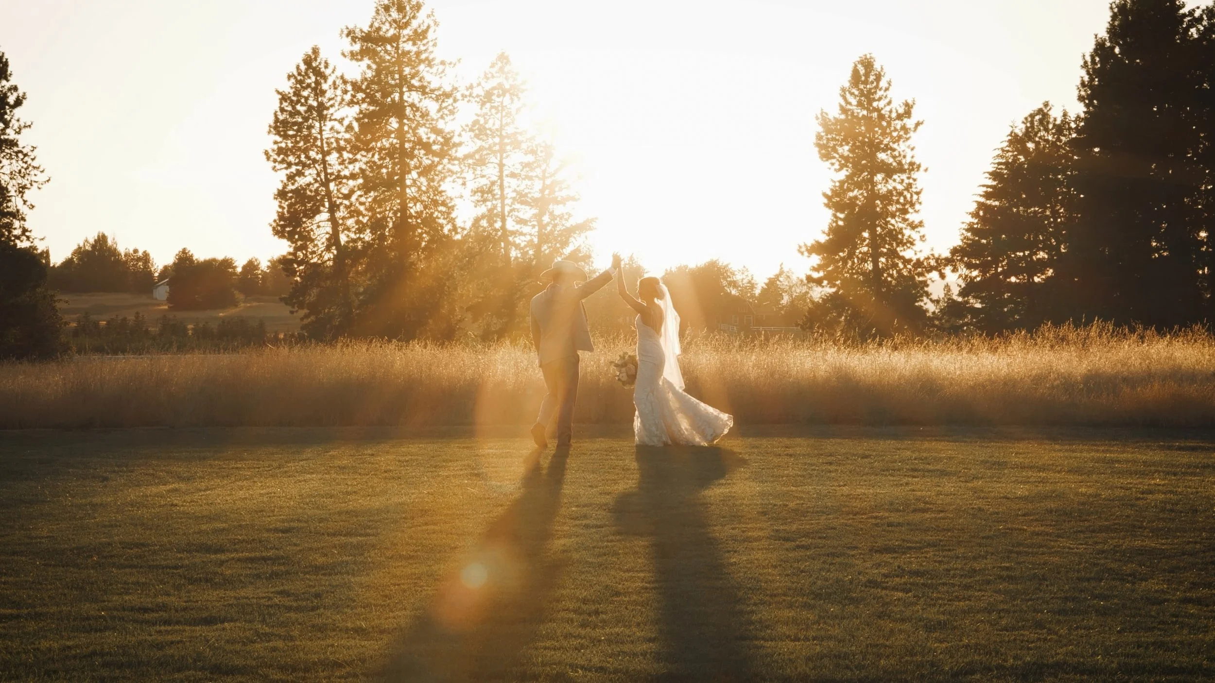 Professional Wedding Live Streaming, Wedding Films, and Photography