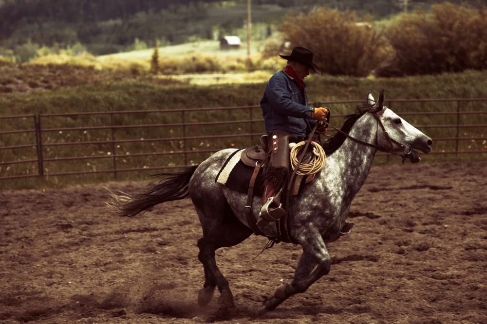 Film & Photography Shoots — Diamond Cross Ranch