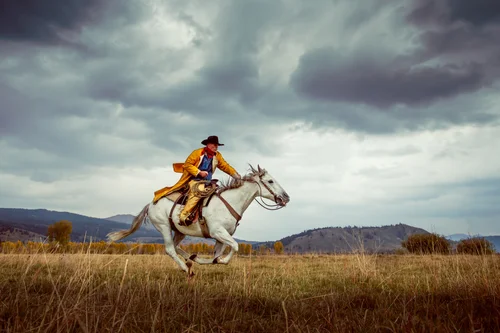 History — Diamond Cross Ranch