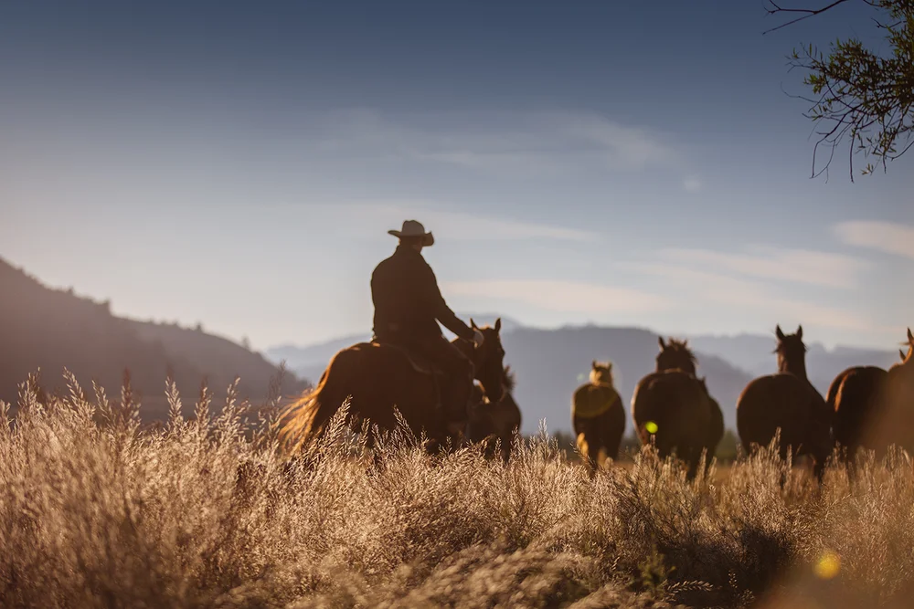 Overview — Diamond Cross Ranch