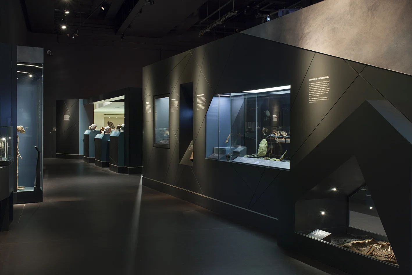 Human Evolution, Natural History Museum — studiozna lighting design