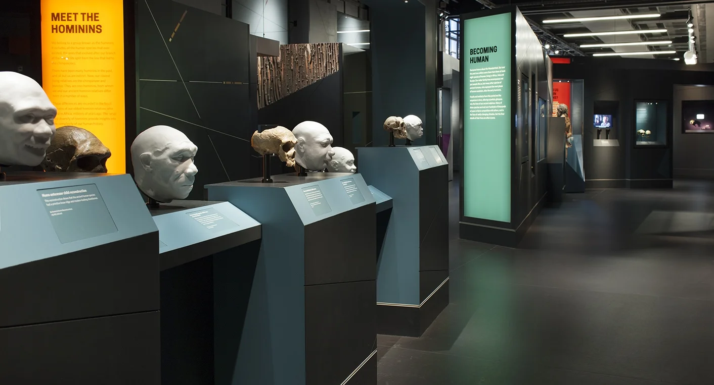 Human Evolution, Natural History Museum — studiozna lighting design