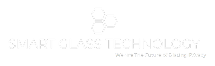 THE ELECTRIC GLASS PEOPLE