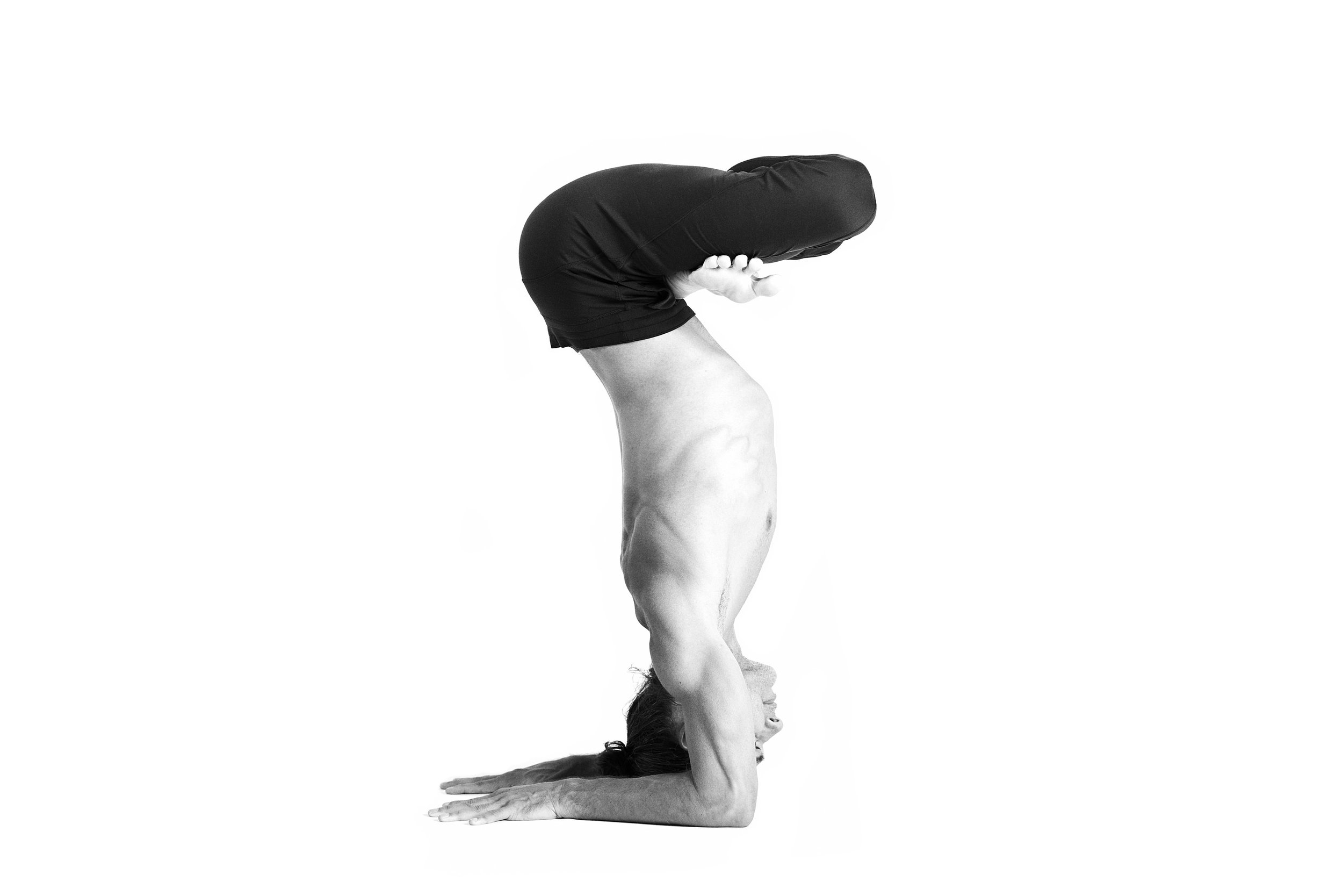 MICHAEL HAMILTON YOGA