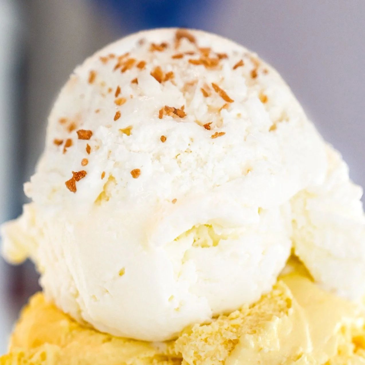Now Scooping — Golly G's Coffee, Ice Cream & Sweets