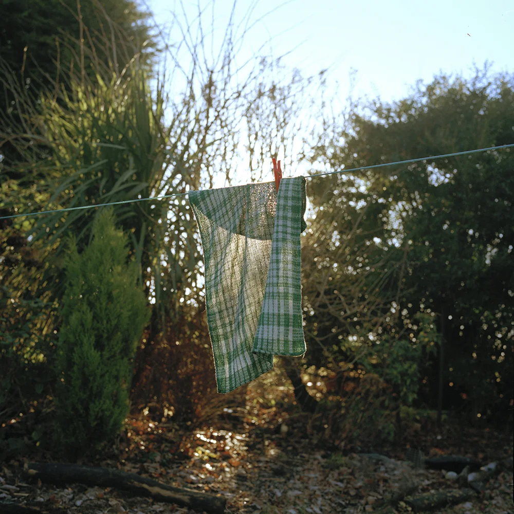 Thomas Duffield – The Whole House is Shaking — splash & grab