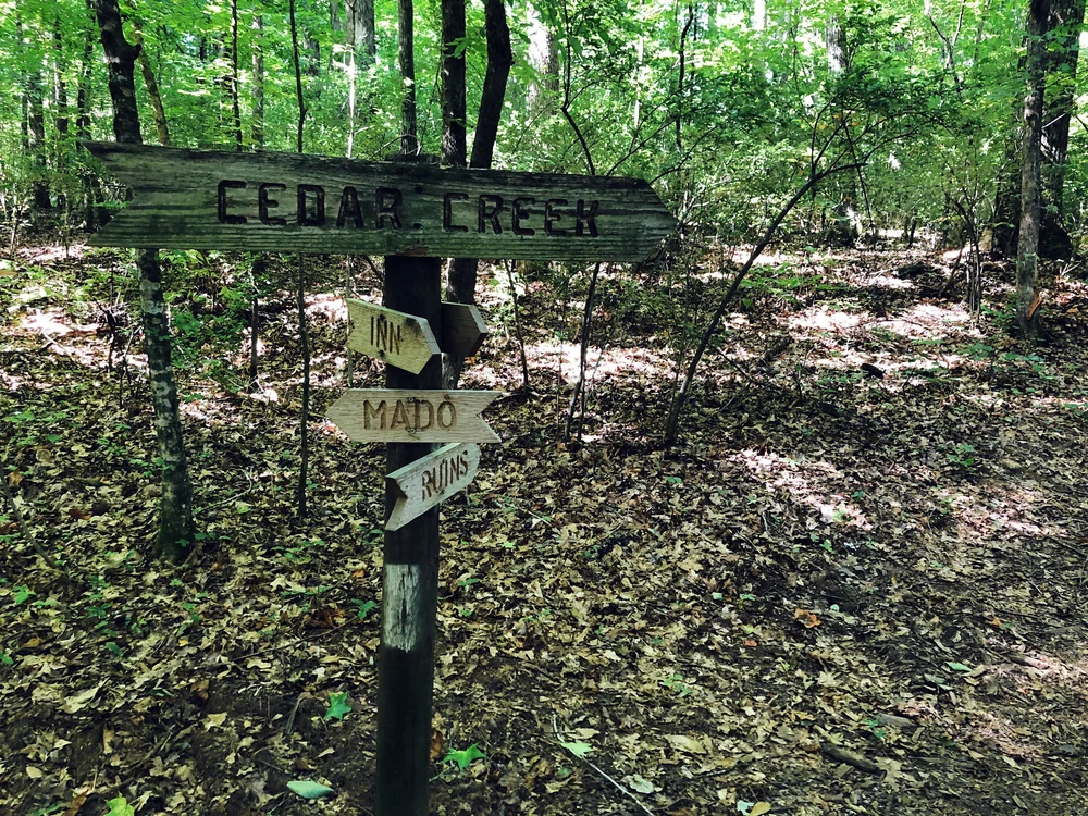 The Biophilic Nature of Serenbe - Steve Nygren — Jennifer Grayson